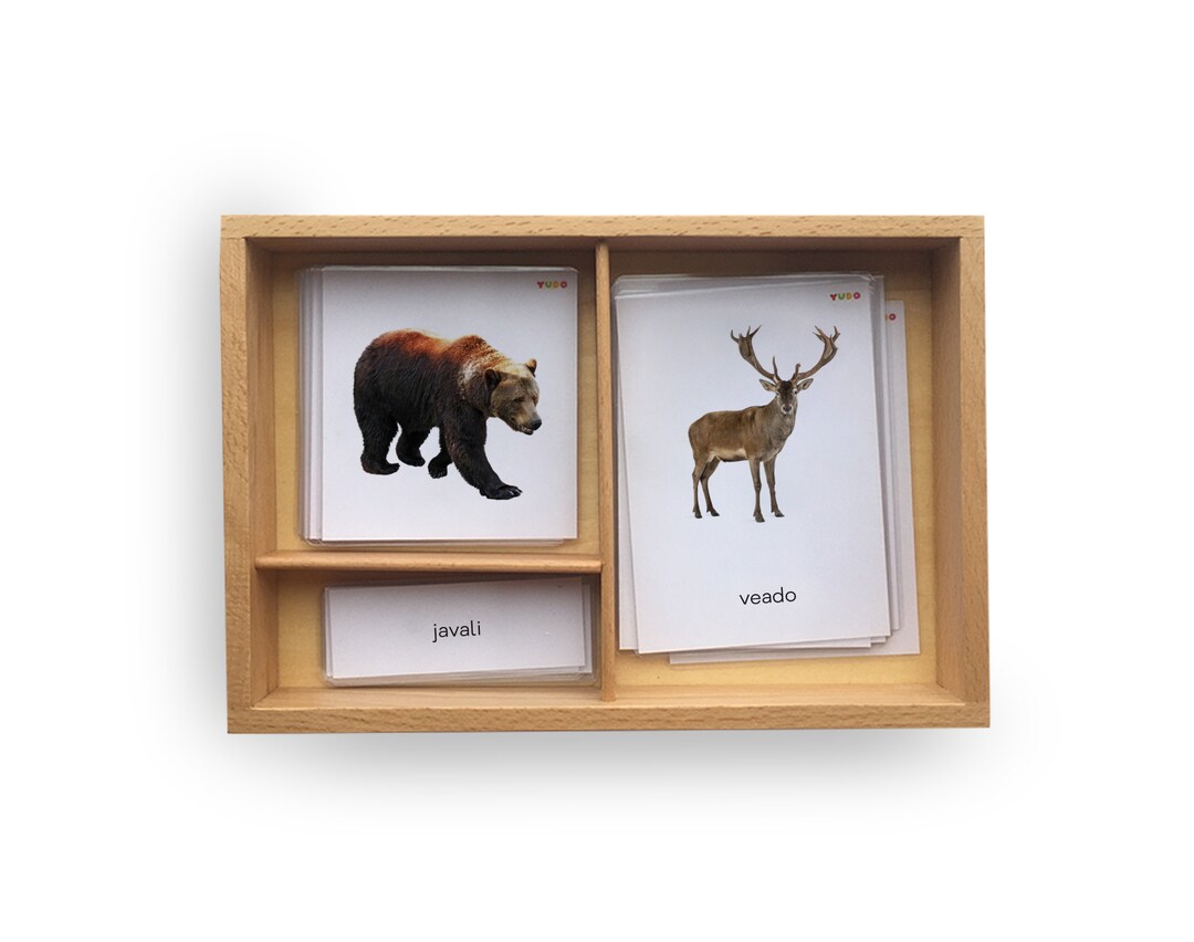 WOODLAND ANIMALS Classification Cards, Instant Download, Wildlife ...