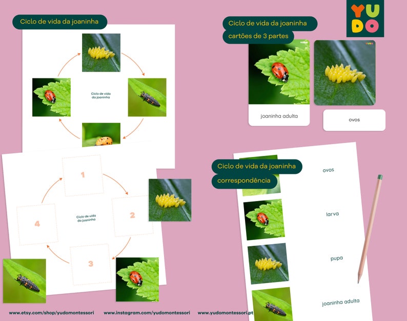 Ladybug and Spring BUNDLE Activities for Kids, Nature Study Preschool ...