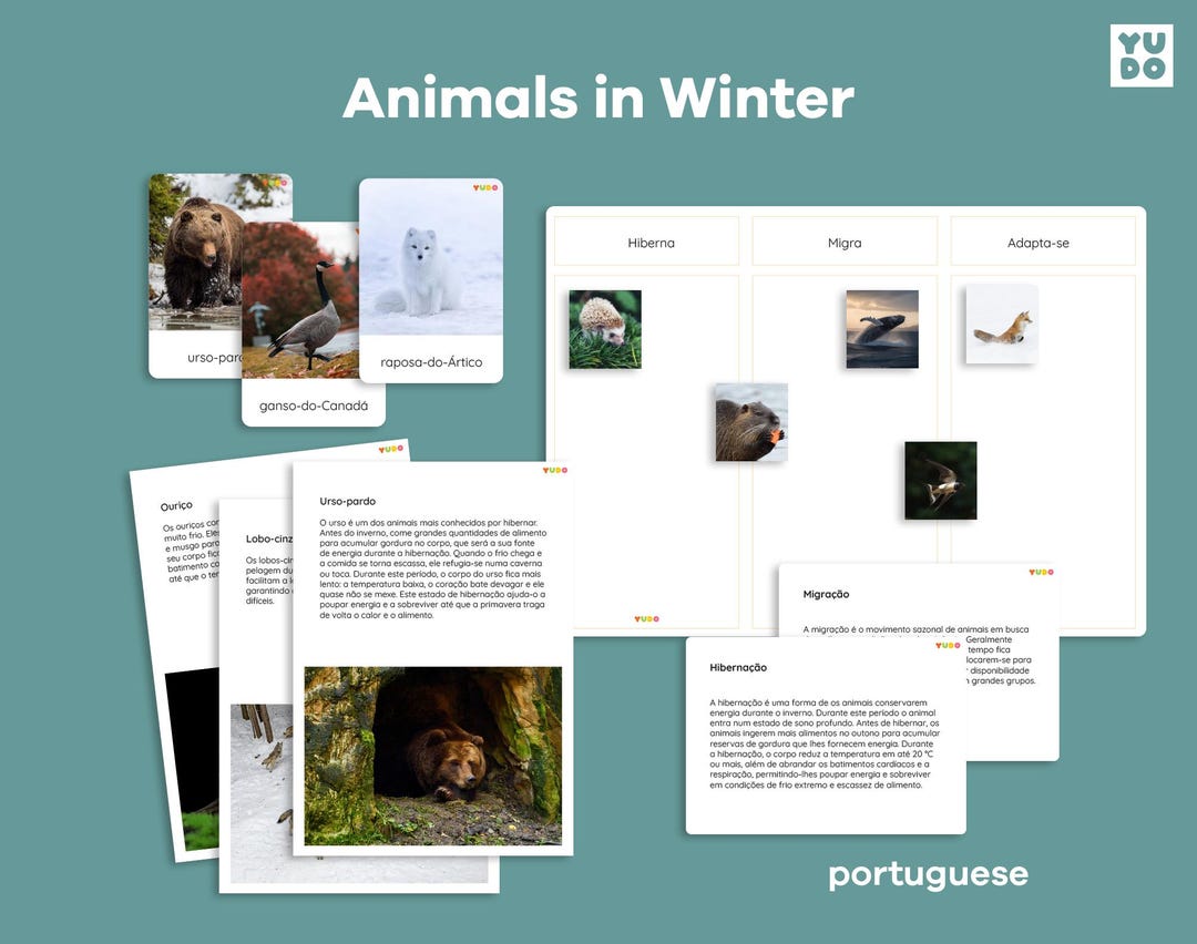 Animals in Winter Activity, Montessori Zoology Flashcards, Hibernation ...