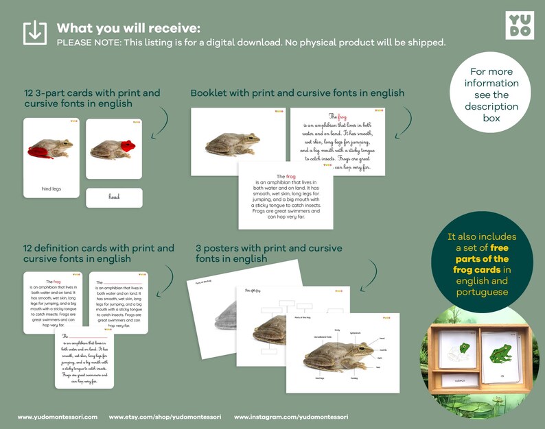 BUNDLE Part of the Frog Definition Cards and Booklet, Amphibians ...