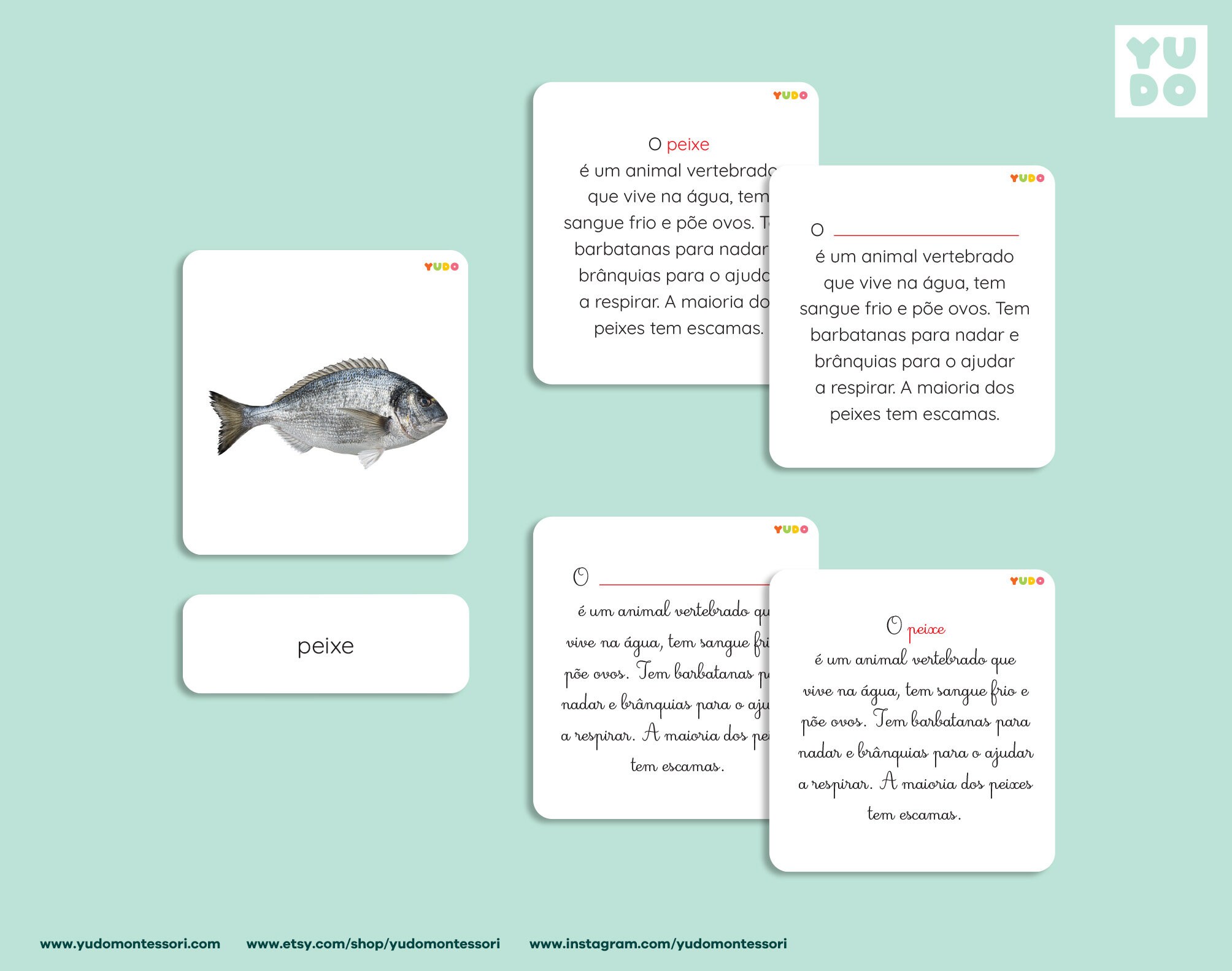 Fish Anatomy Nomenclature Book, Montessori Fish Zoology Unit Study ...