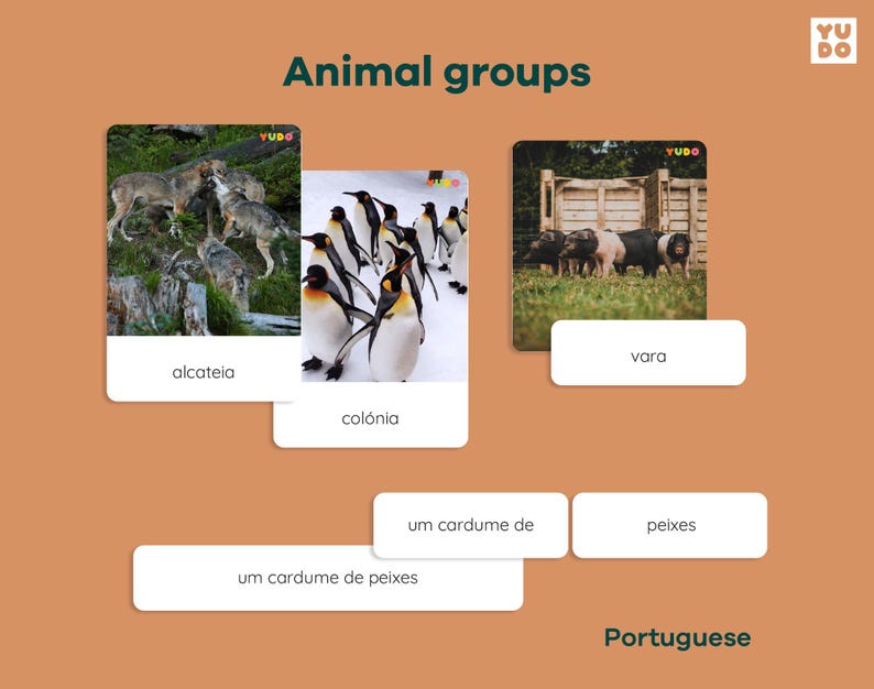 Animal Grups Cards Montessori Learning Cards, Animal Types Sorting ...