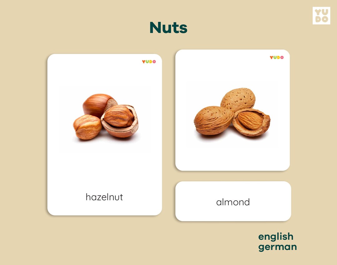10 NUTS Montessori Cards With Real Pictures, Flash Cards, Nomenclature ...