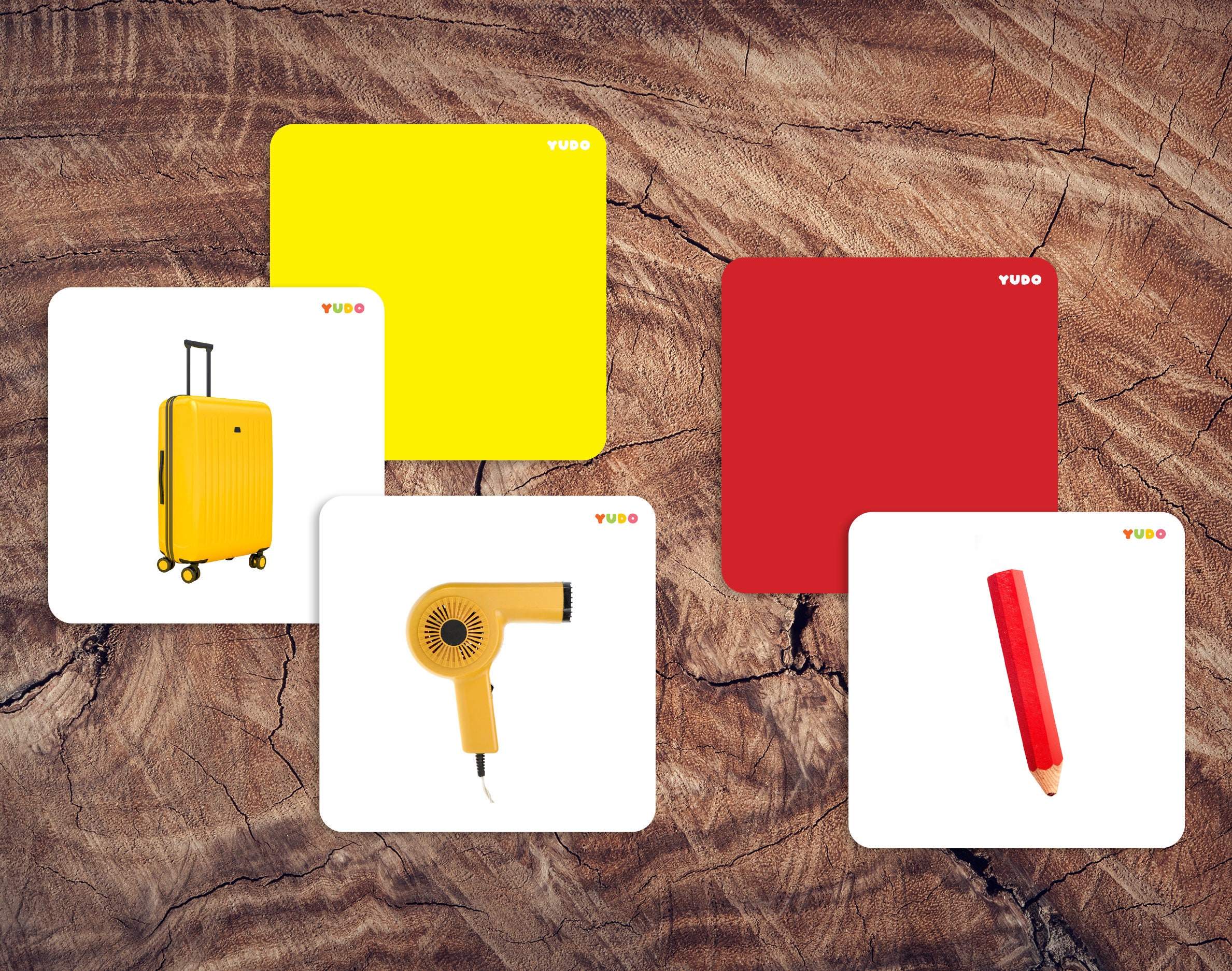 COLOR Matching Cards. Real Images. Activity for Kids. Digital File for ...