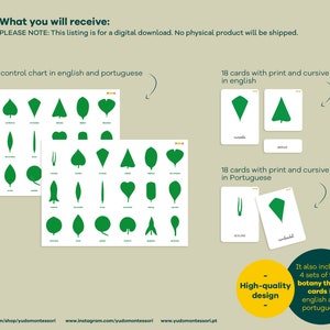 Botany Cabinet Control Chart and Cards, Botany BUNDLE, Leaf Anatomy ...