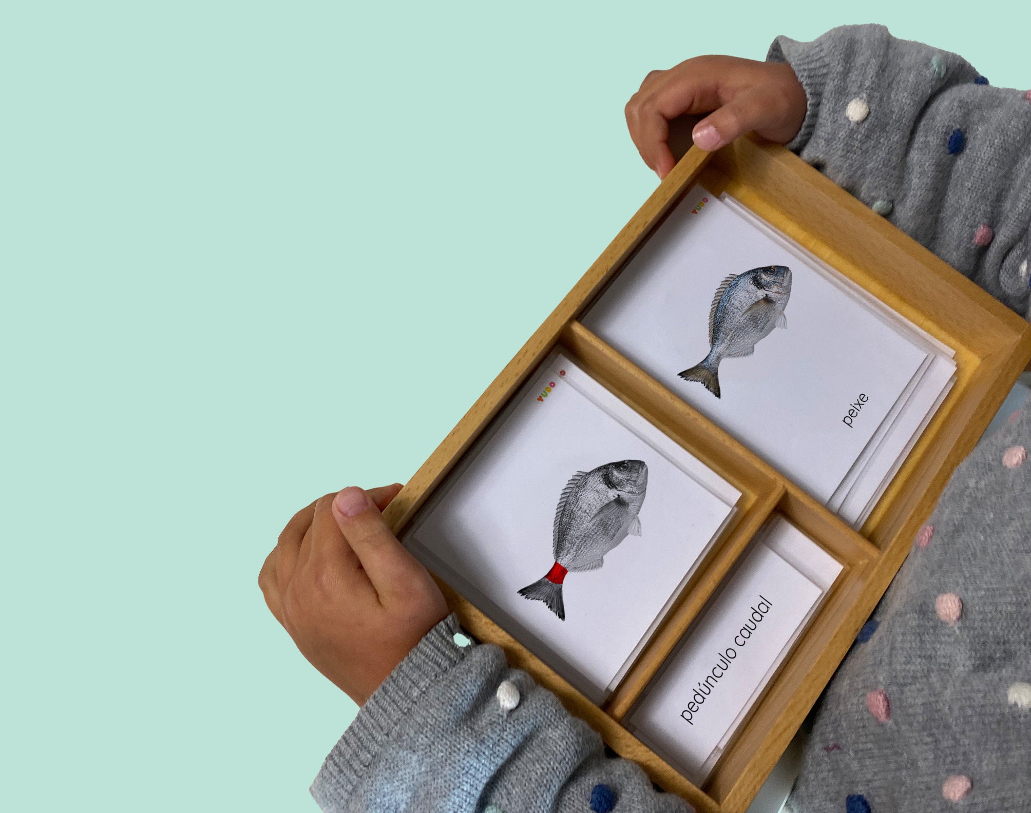 Fish Anatomy Nomenclature Book, Montessori Fish Zoology Unit Study ...