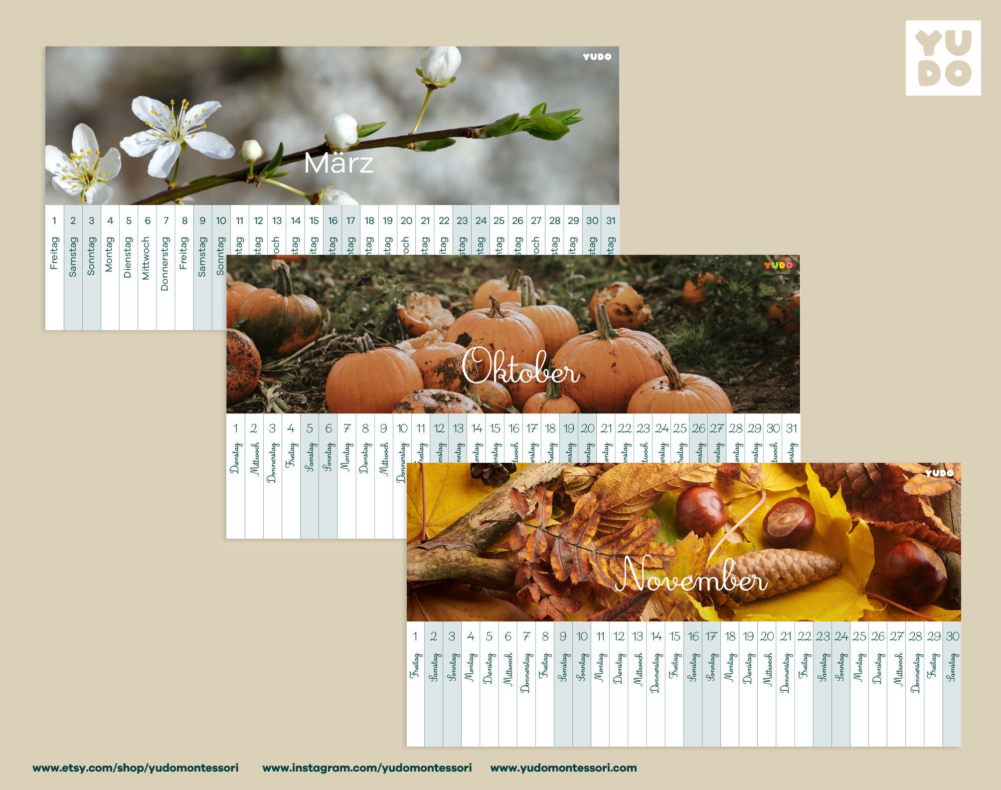 Annual Calendar for Kids, Visual Calendar 2024, School Calendar in ...