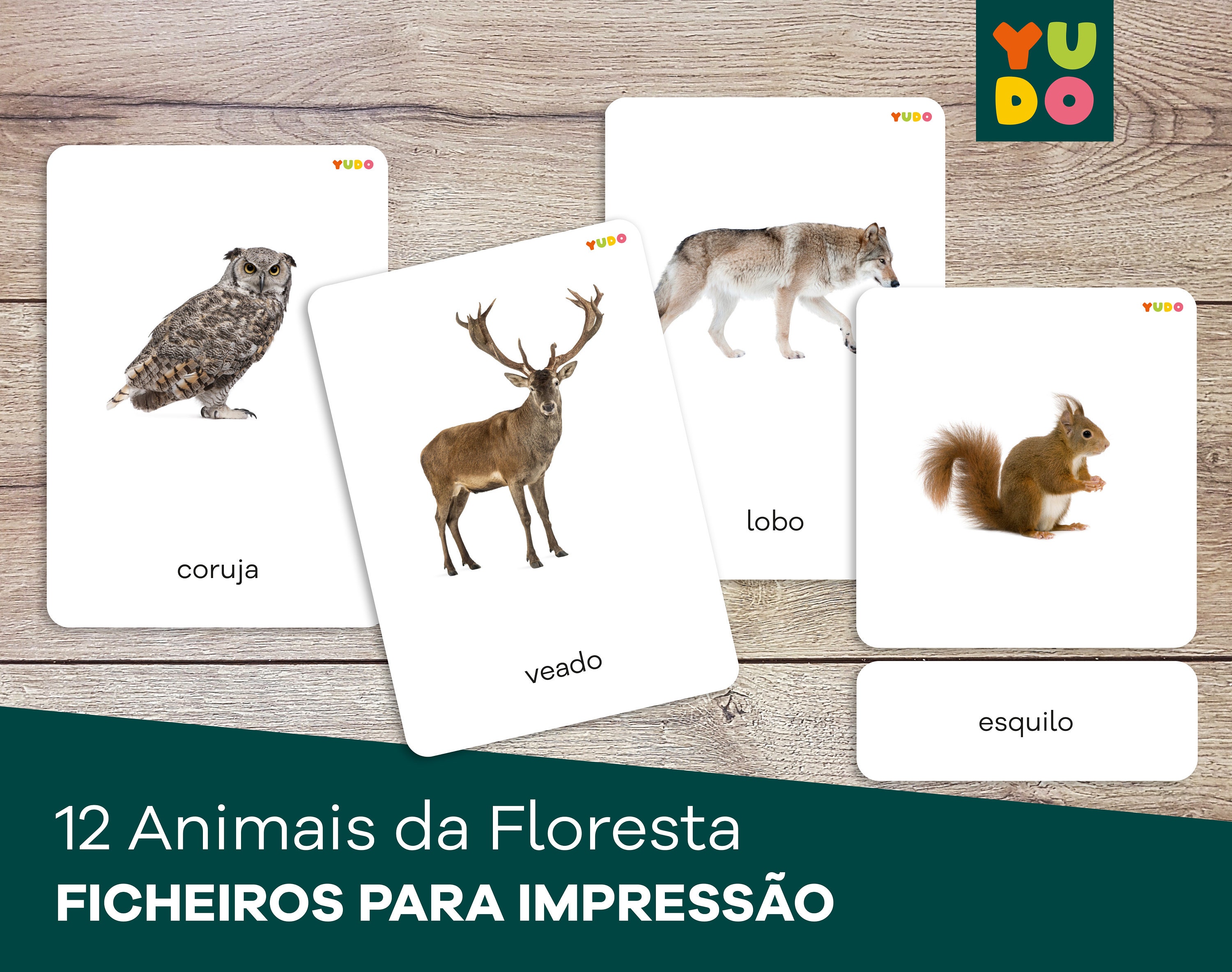 WOODLAND ANIMALS Classification Cards, Instant Download, Wildlife ...