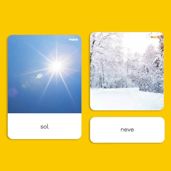 Real Images Book - Etsy