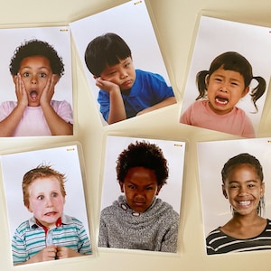 REAL EMOTIONS Montessori 3 Part Card for Print, Digital Classified ...