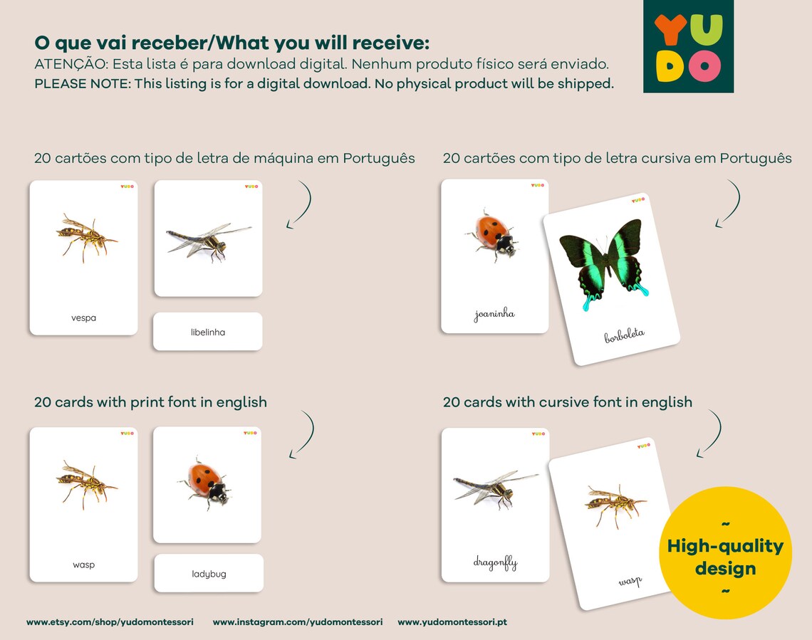 BUGS Insect Vocabulary Cards for Kids, Bug Identification Printable ...