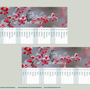 2025 Montessori Linear Calendar, Printable Classroom Calendar PDF ...