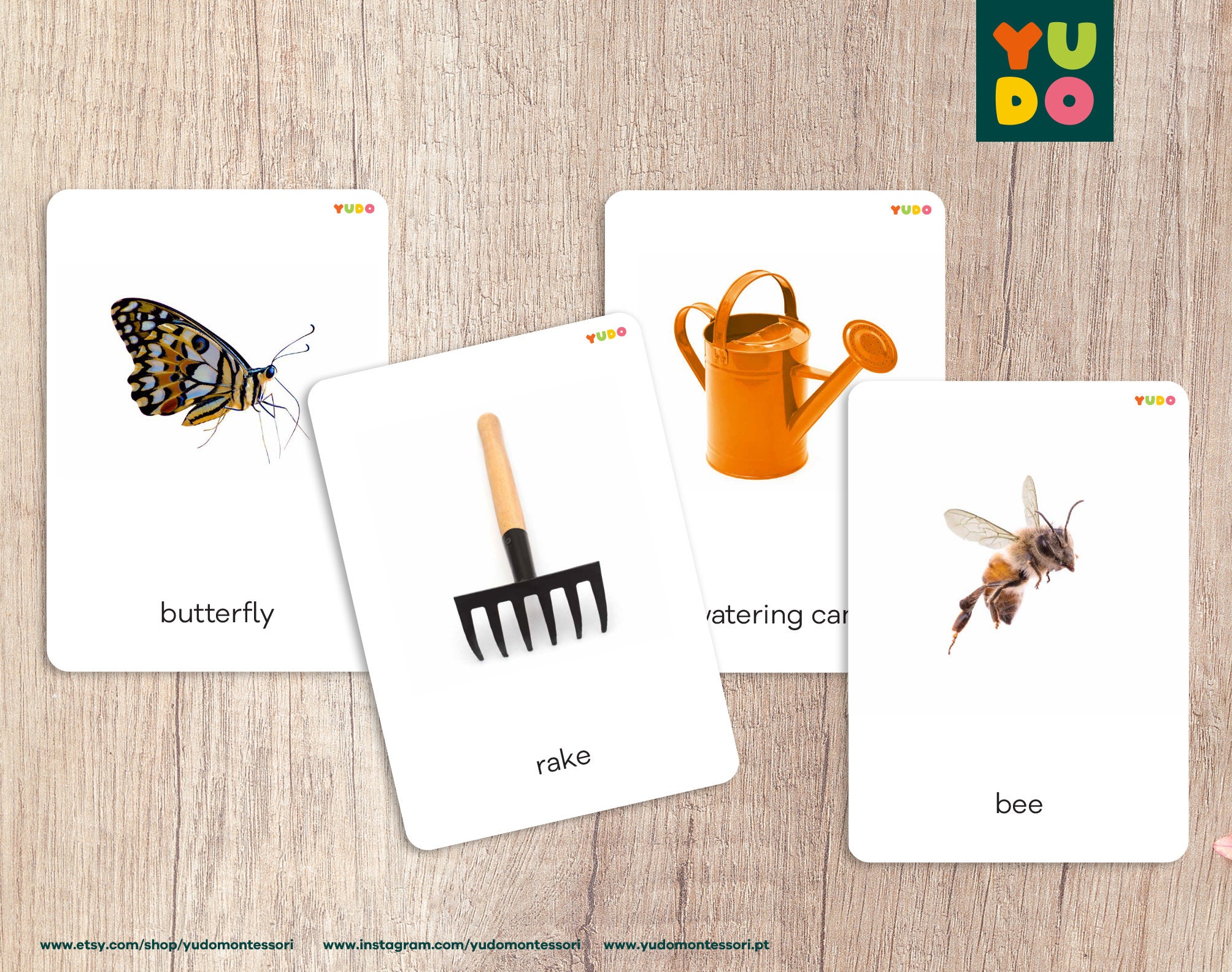 SPRING Montessori 3 Part Cards With Real Pictures. Language Cards for ...