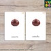 AUTUMN Vocabulary. FALL Elements. Montessori 3 Part Cards. Montessori ...