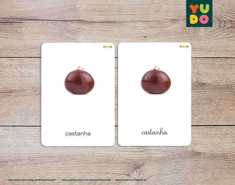 AUTUMN Vocabulary. FALL Elements. Montessori 3 Part Cards. Montessori ...