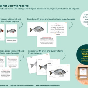 Parts of a Fish Nomenclature Book 3 Part Cards Fish Anatomy Definitions ...