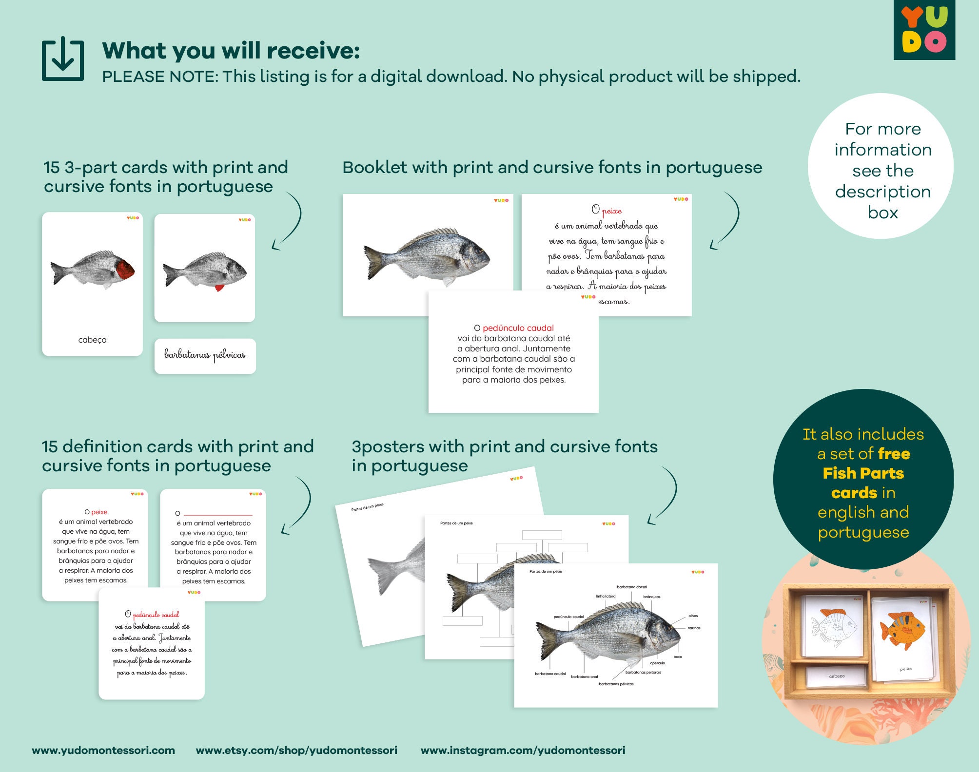 Fish Anatomy Nomenclature Book, Montessori Fish Zoology Unit Study ...