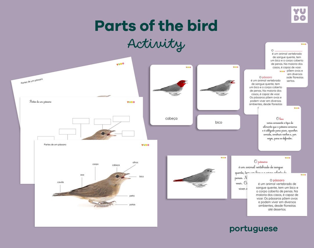 Bird Definition Cards and Booklet, Montessori Zoology Activity, Bird ...