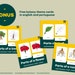 Botany Cabinet Control Chart and Cards, Botany BUNDLE, Leaf Anatomy ...
