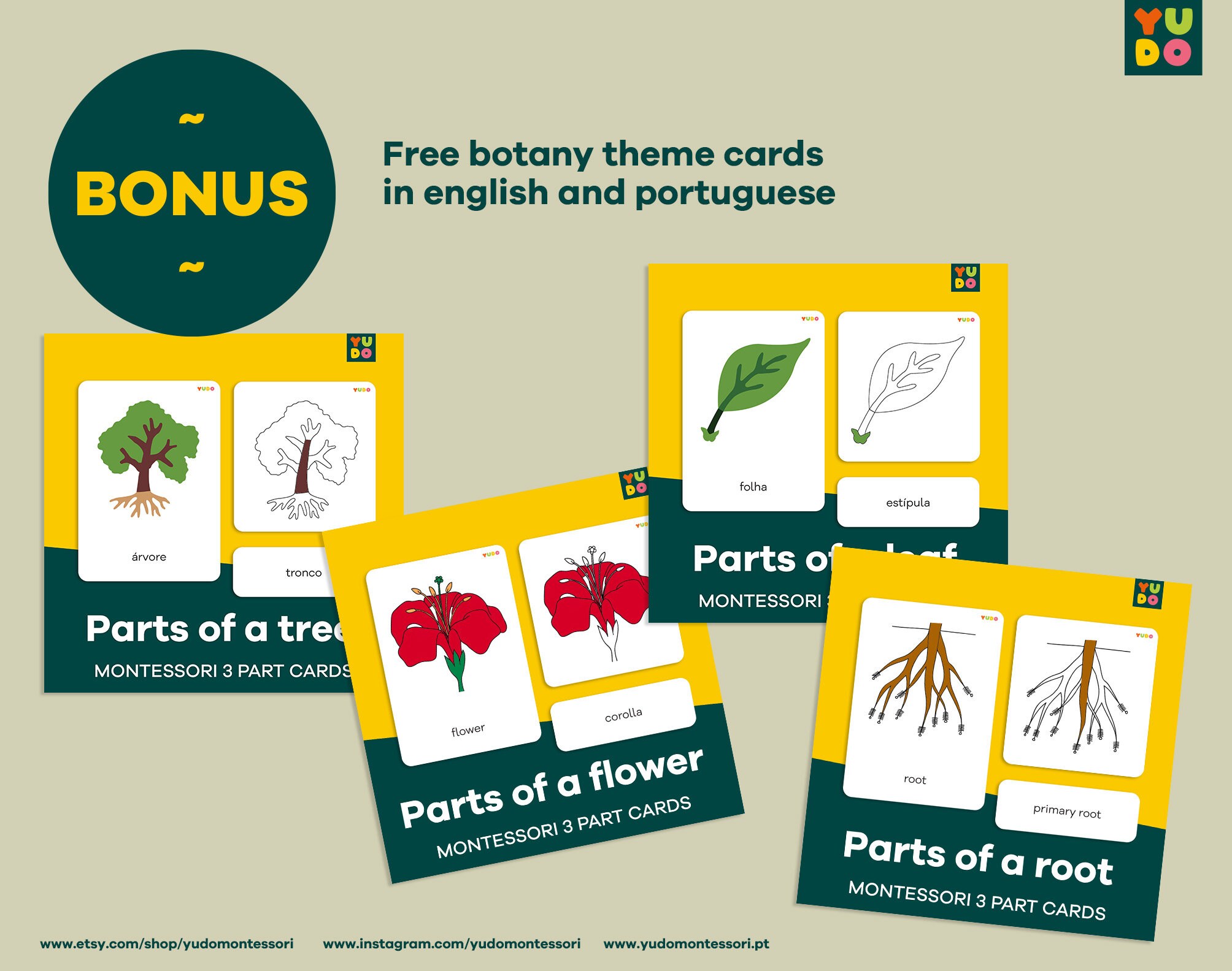 Montessori Leaf Shapes Control Chart, Montessori Botany Cabinet Cards ...