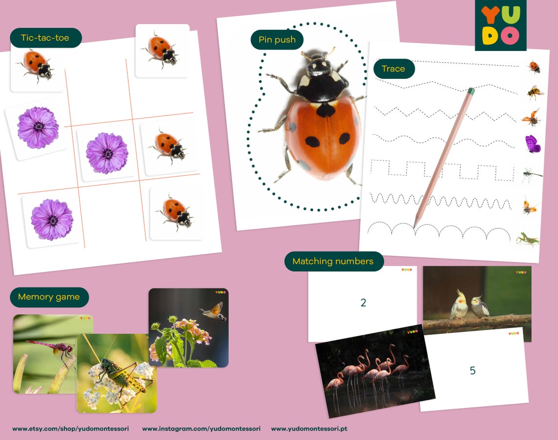 Montessori BUNDLE Activities for Kids, Ladybug Anatomy, Ladybug Life ...