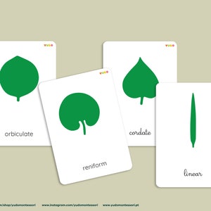 Montessori Leaf Shapes Control Chart, Montessori Botany Cabinet Cards ...