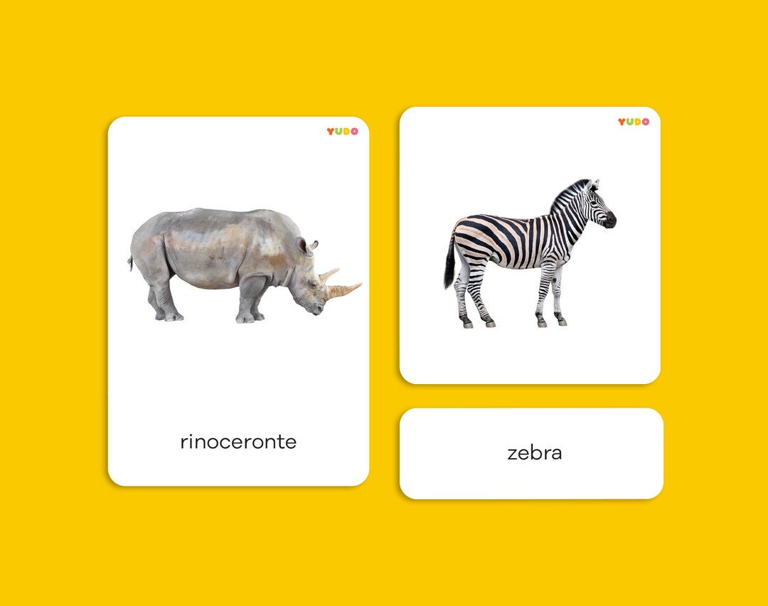 AFRICA ANIMALS, 12 Montessori Cards for Developing Language, PDF ...