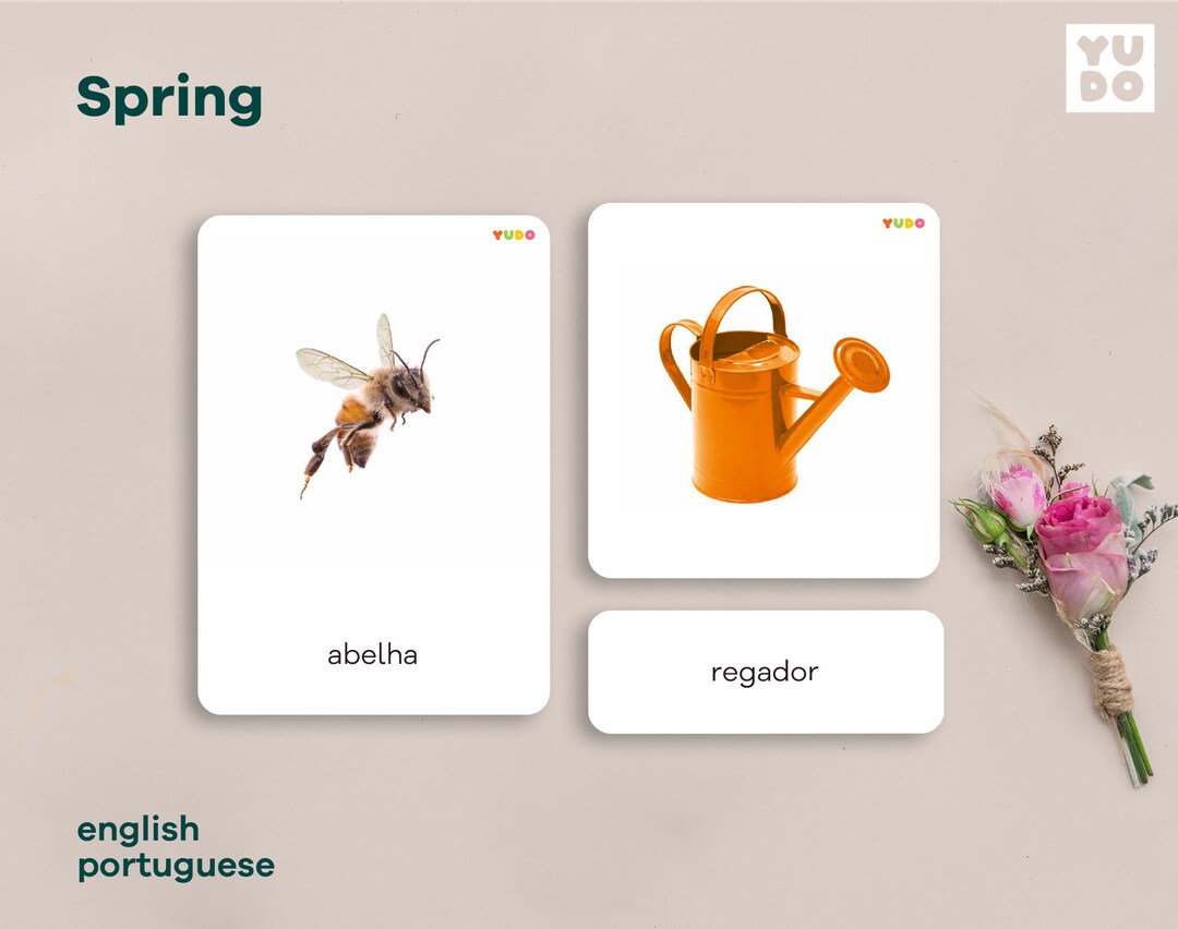 SPRING Montessori 3 Part Cards With Real Pictures. Language Cards for ...