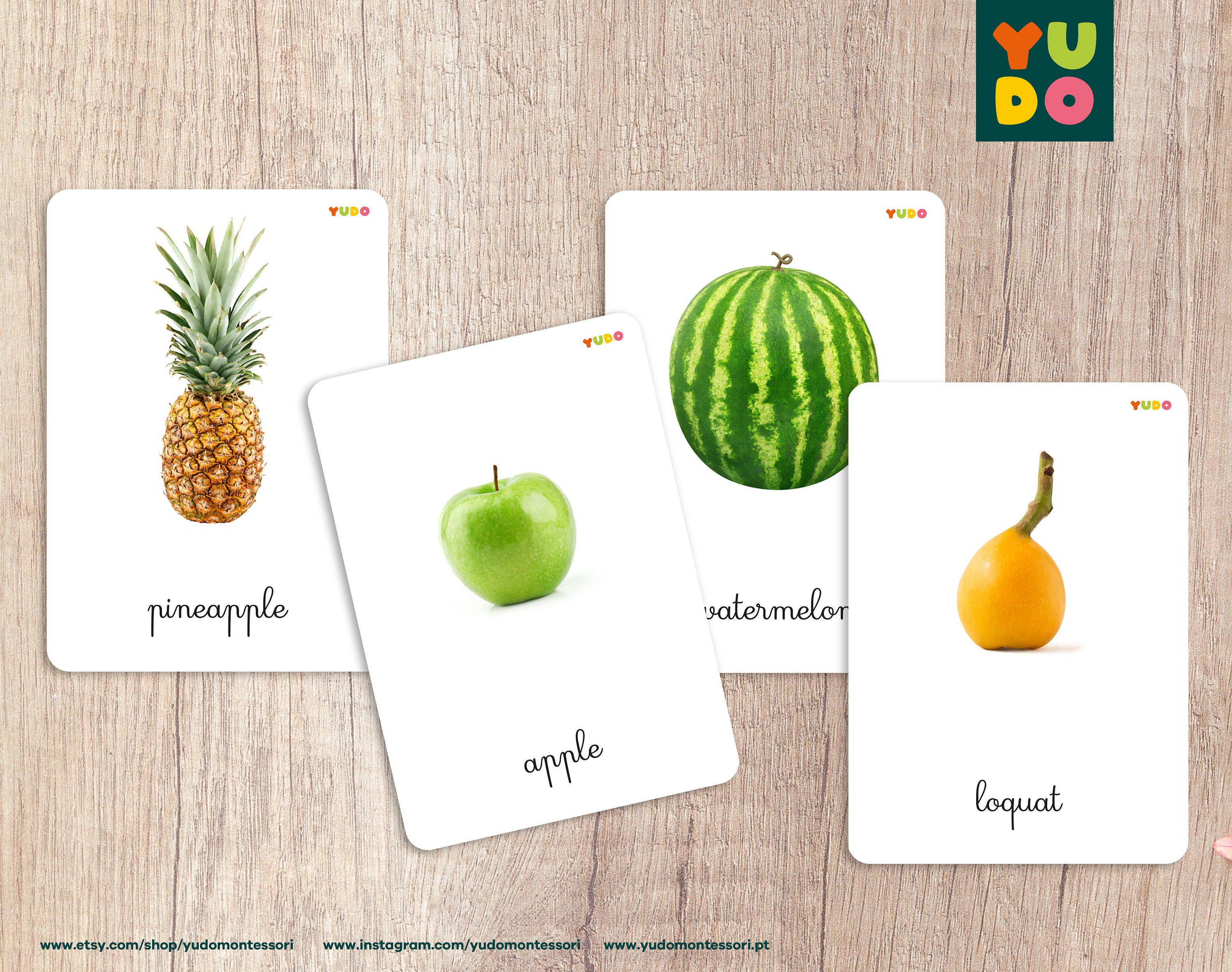 FRUITS Language Cards Nomenclature Cards Montessori - Etsy