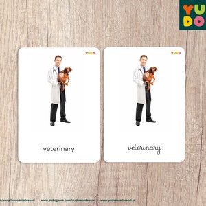 PROFESSIONS Montessori 3 Part Cards, Job Classified Cards, Child ...