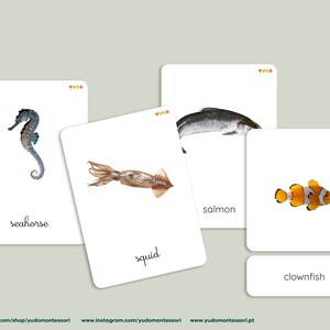 22 OCEAN ANIMALS Montessori Cards, Aquatic Creatures Flashcards ...