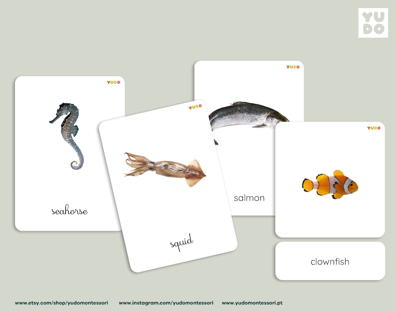 22 OCEAN ANIMALS Montessori Cards, Aquatic Creatures Flashcards ...