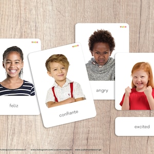 REAL EMOTIONS Montessori 3 Part Card for Print, Digital Classified ...