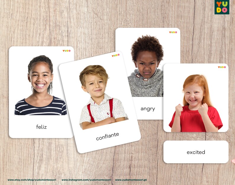 REAL EMOTIONS Montessori 3 Part Card for Print Digital - Etsy
