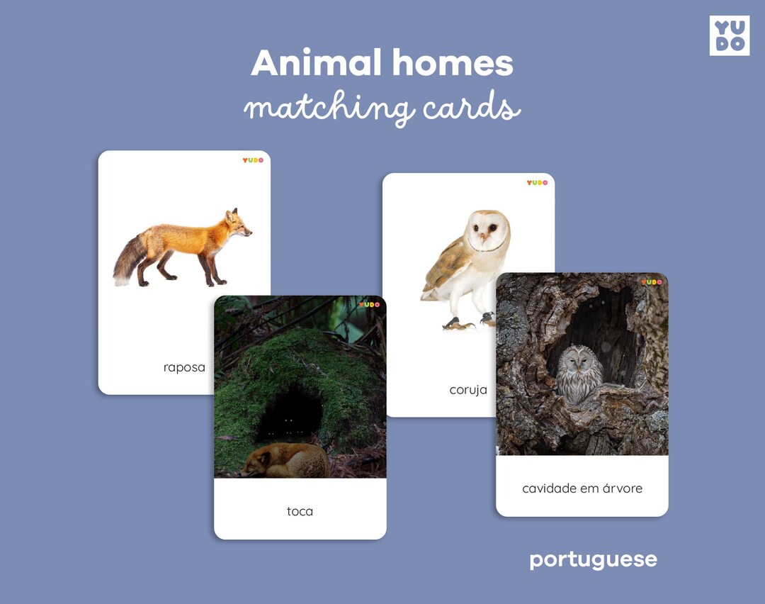 Where Do Animals Live 3 Part Cards, 28 Montessori Animal Homes ...