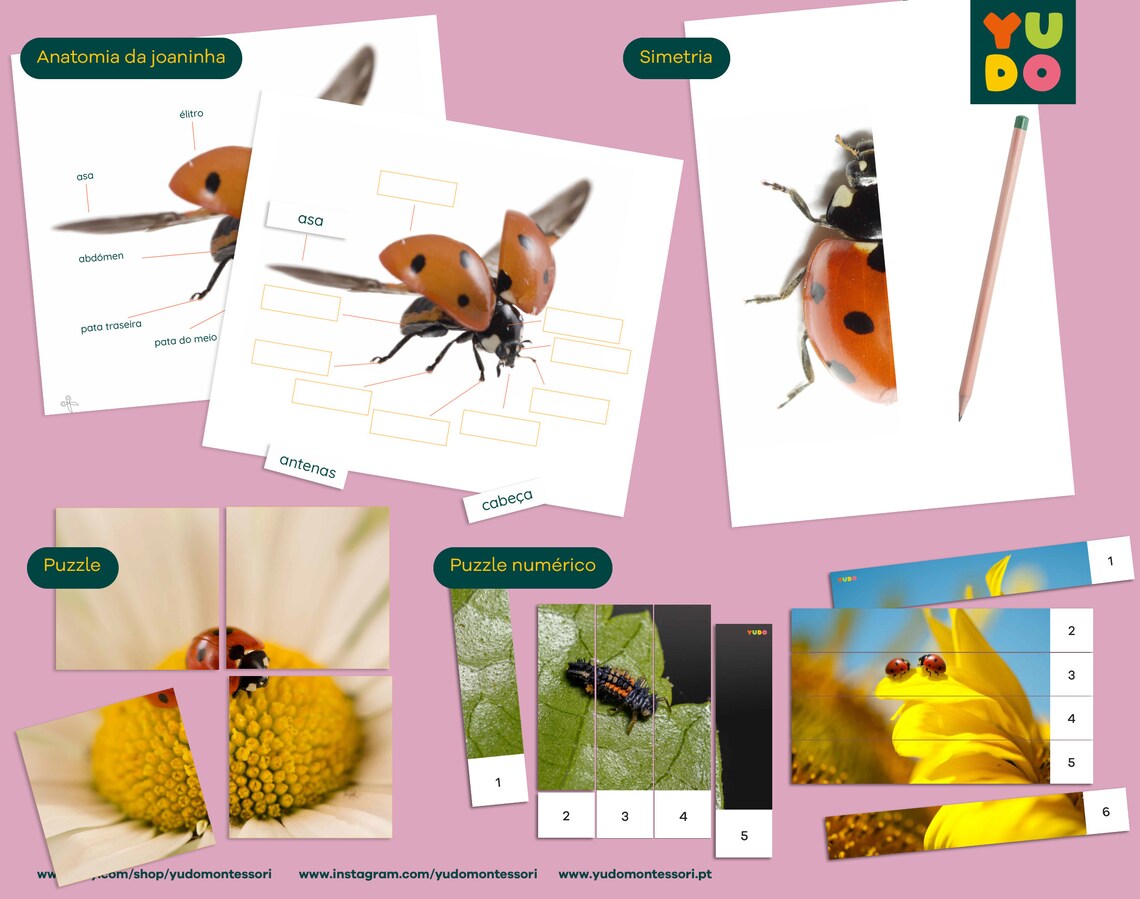 Ladybug and Spring BUNDLE Activities for Kids, Nature Study Preschool ...