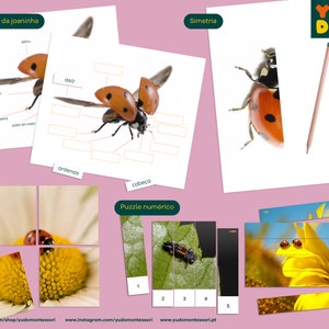 Ladybug and Spring BUNDLE Activities for Kids, Nature Study Preschool ...