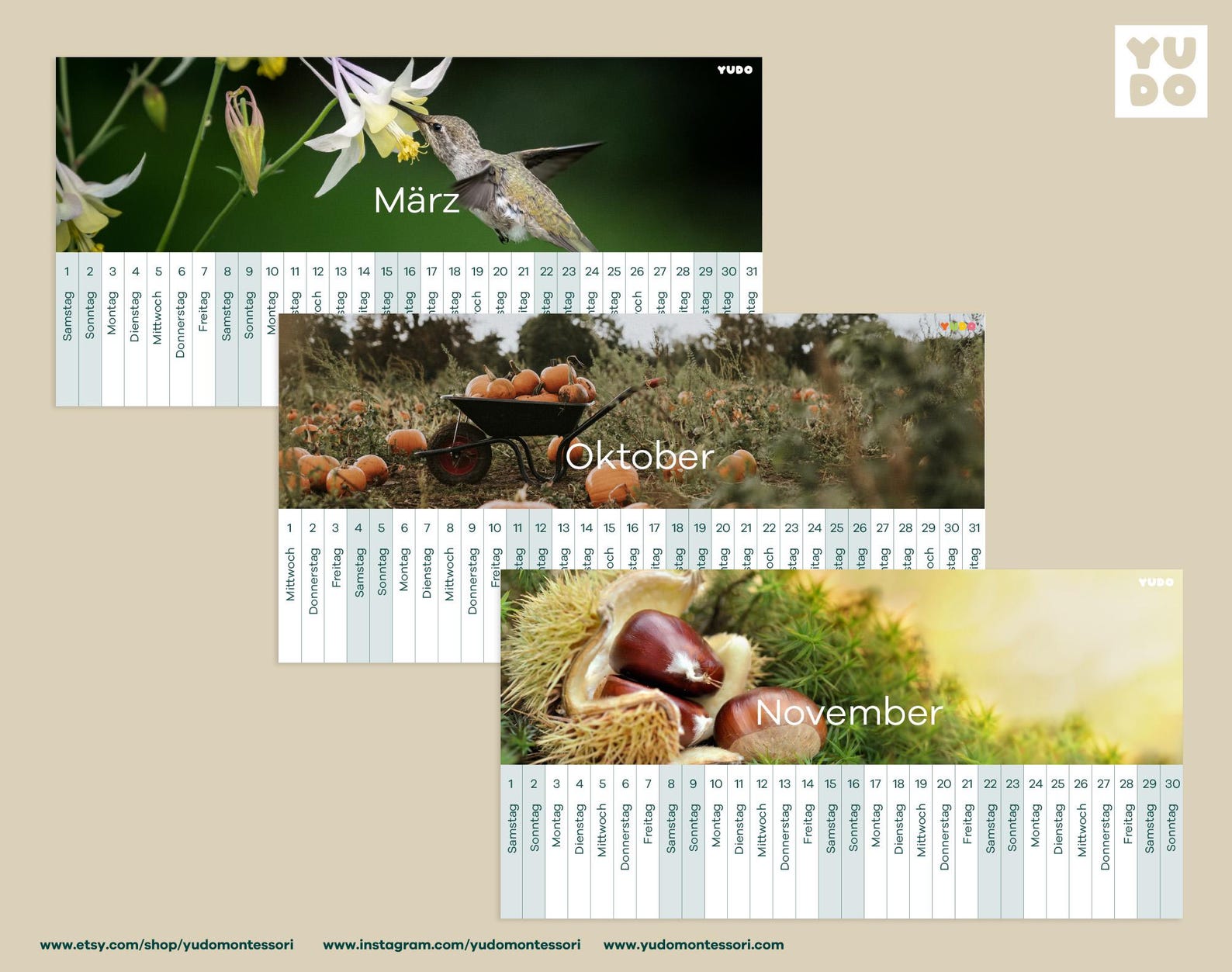 Annual Calendar for Kids, Visual Calendar 2025, School Calendar in ...