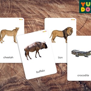 ANIMALS OF AFRICA 3 Part Cards, Montessori Printables, Nomenclature ...