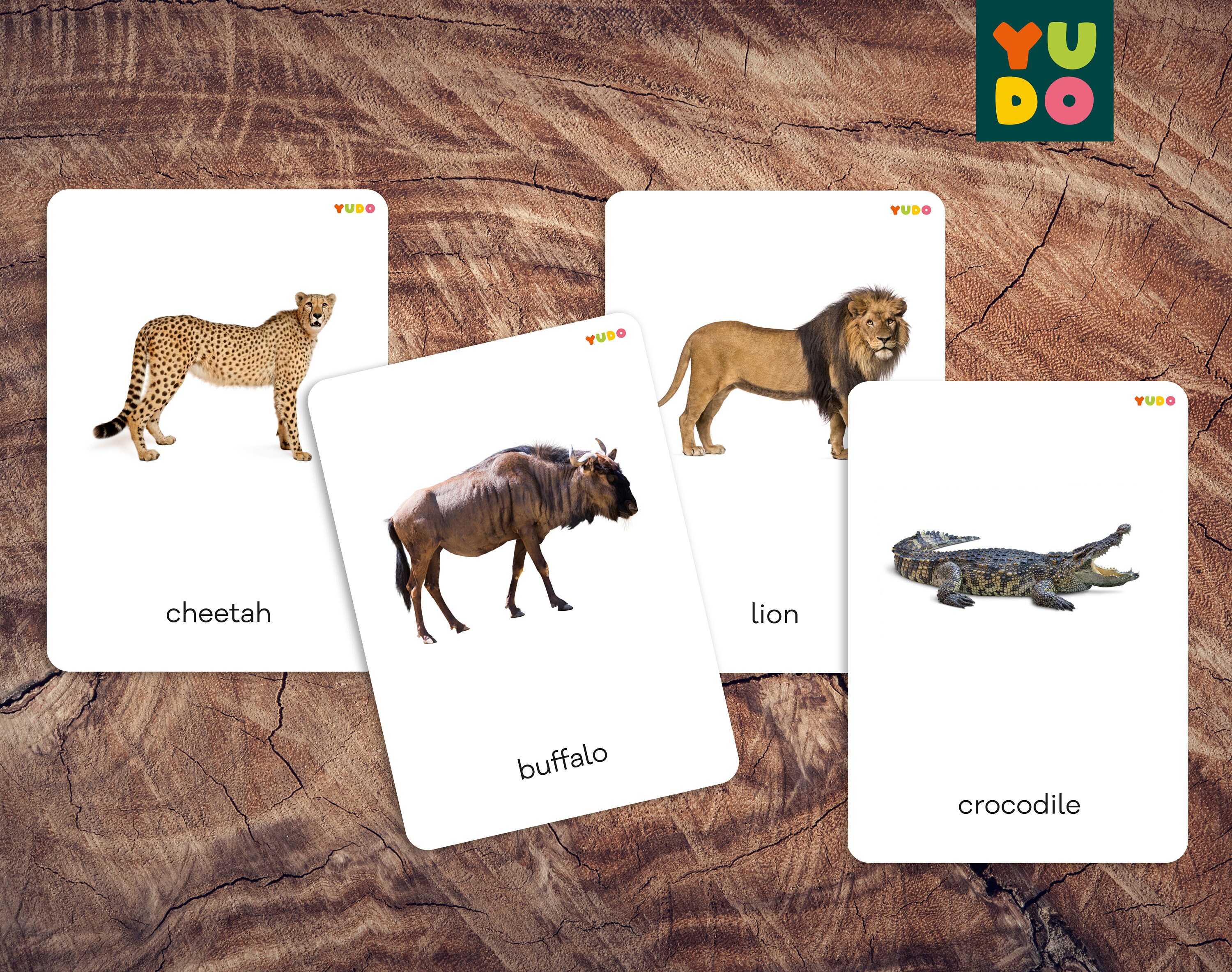 ANIMALS OF AFRICA 3 Part Cards, Montessori Printables, Nomenclature ...