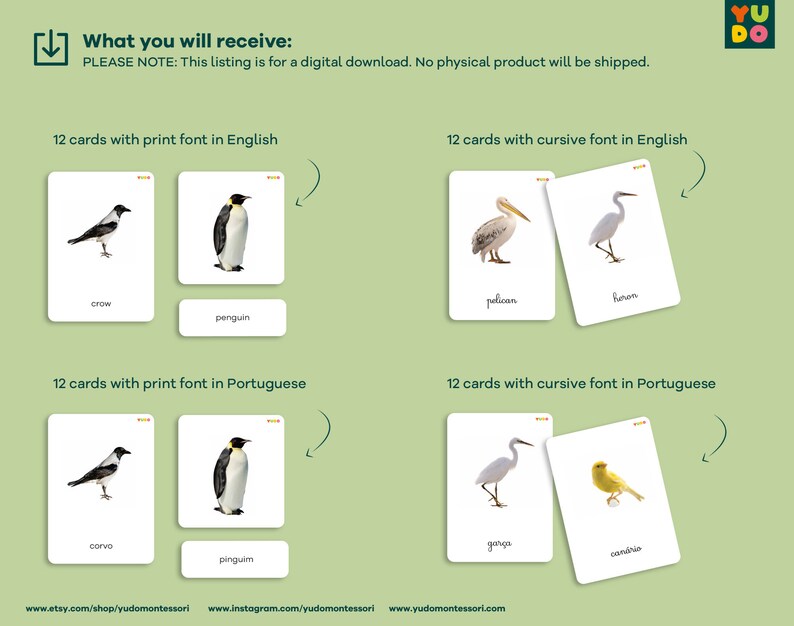 BIRDS Language Cards for Kids Montessori Education Tool - Etsy
