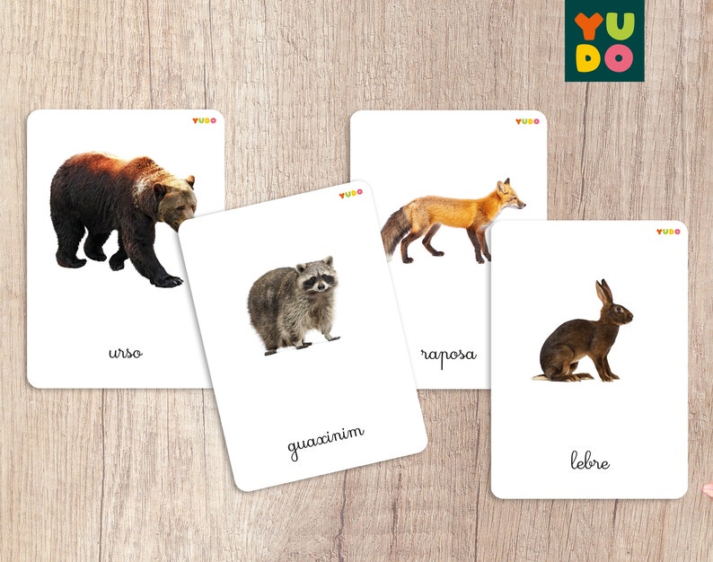 WOODLAND ANIMALS Classification Cards, Instant Download, Wildlife ...
