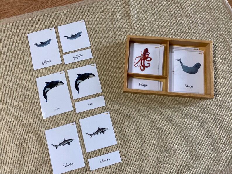 SEA ANIMALS Language Cards, Sea Life Animals Nomenclature Cards ...