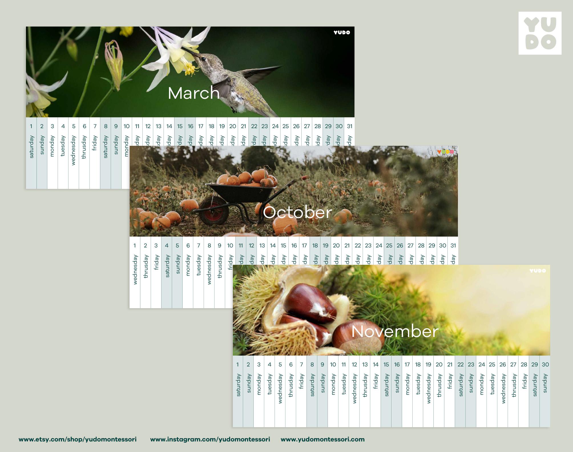 2025 Montessori Linear Calendar, Printable Classroom Calendar PDF ...