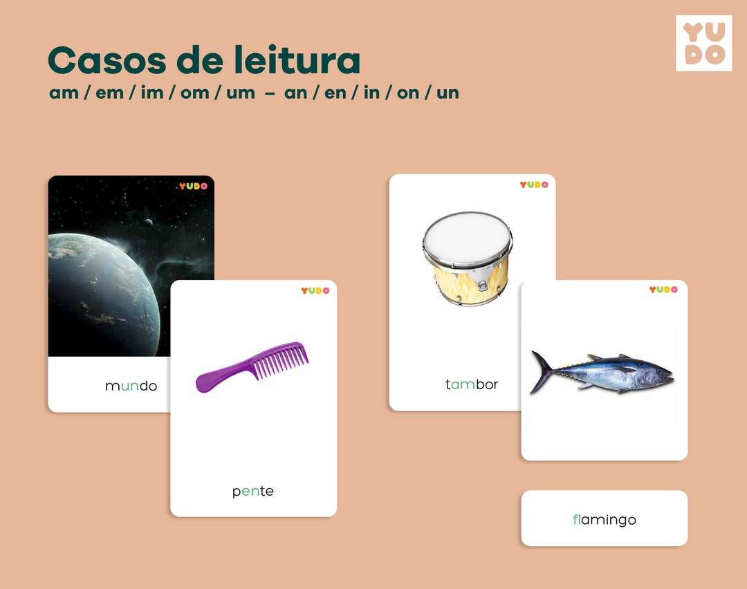 16 Special Reading Case Montessori Cards, Primary Language, Learning ...