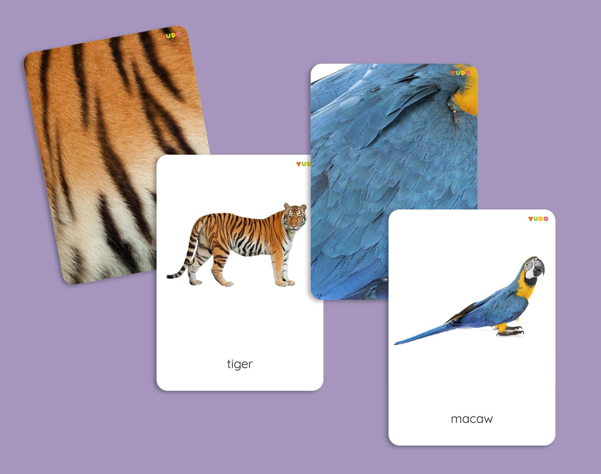 Animals Skin Matching Cards, Montessori Animal Pattern Matching ...