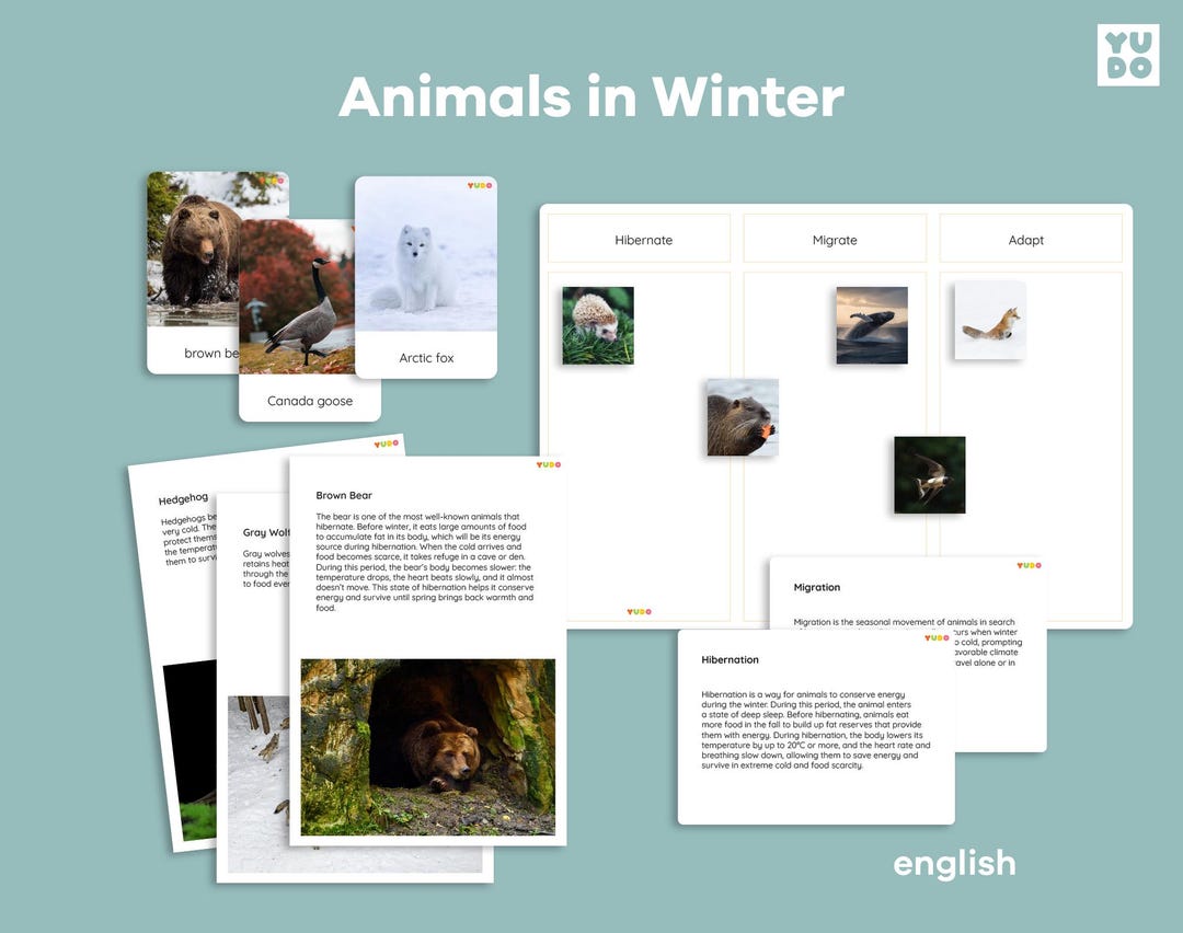 Montessori Aligned Winter Animals Matching Activity, Zoology ...