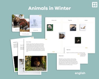 Animals in Winter Sorting Worksheet: Hibernate, Migrate, Adapt (PDF ...