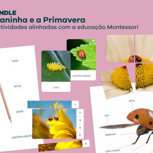 Ladybug and Spring BUNDLE Activities for Kids, Nature Study Preschool ...