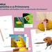 Ladybug and Spring BUNDLE Activities for Kids, Nature Study Preschool ...